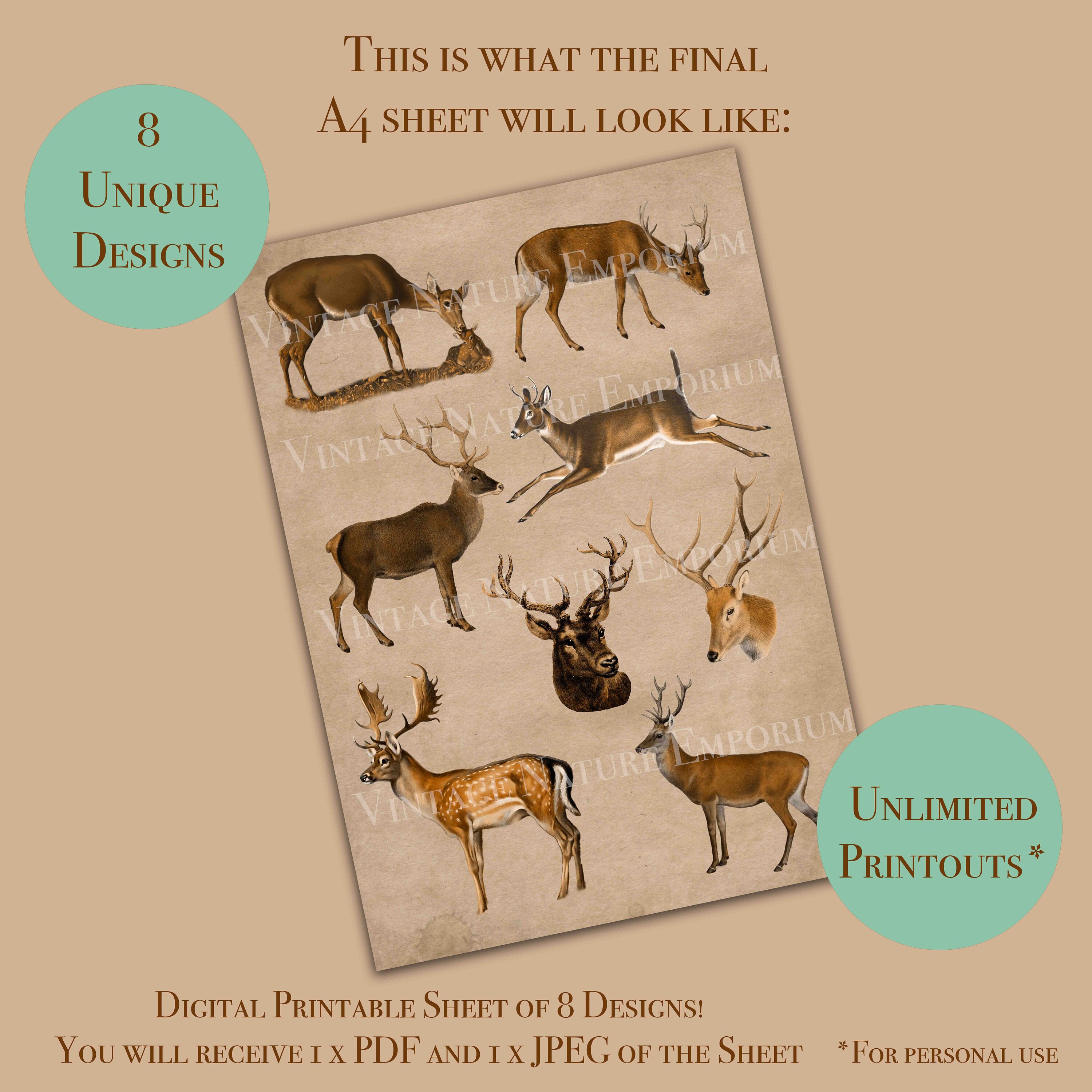 Christmas Printable Digital Reindeer Deer Clipart Junk Journal Vintage ...