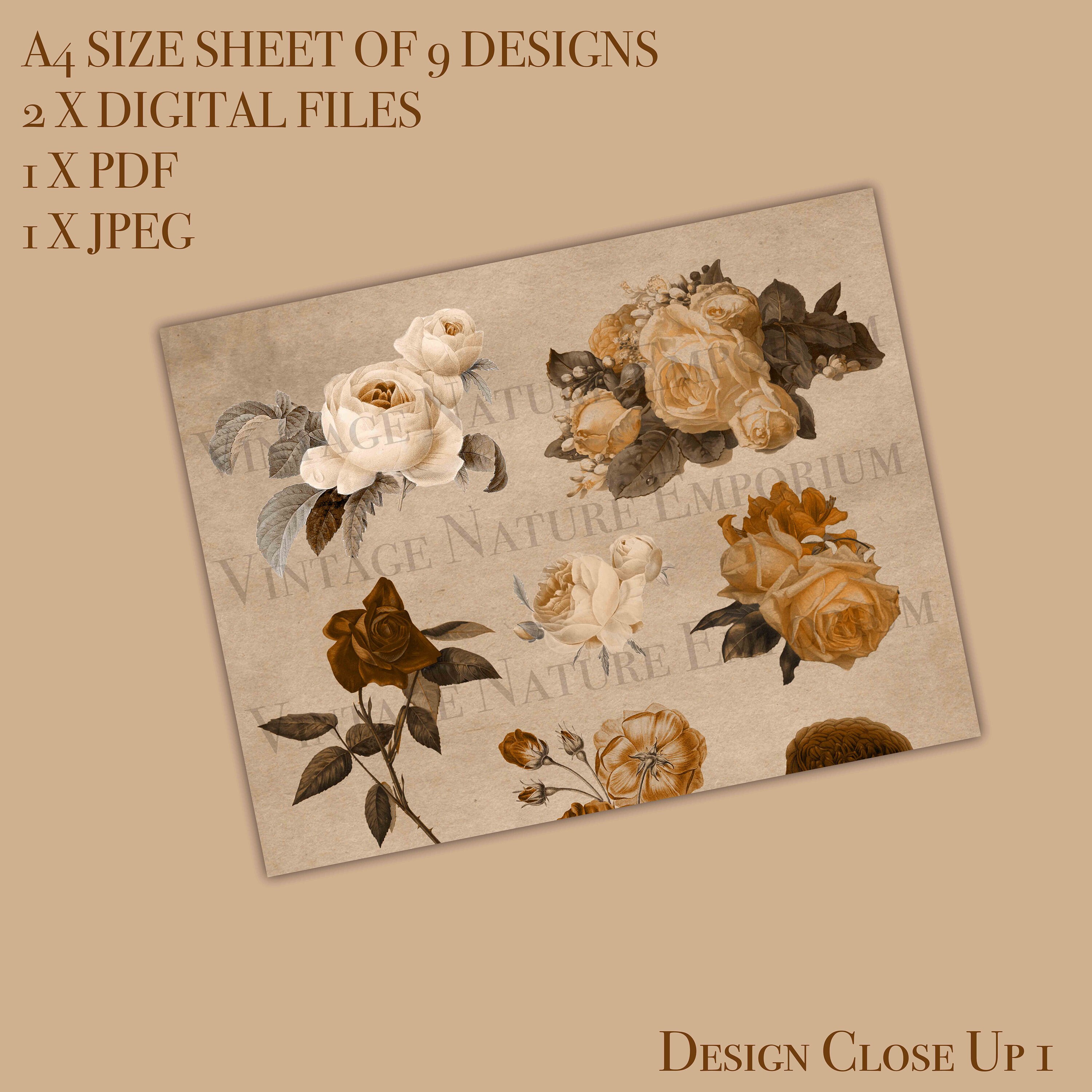 Vintage Roses Printable Clipart Junk Journal Valentines Ephemera ...