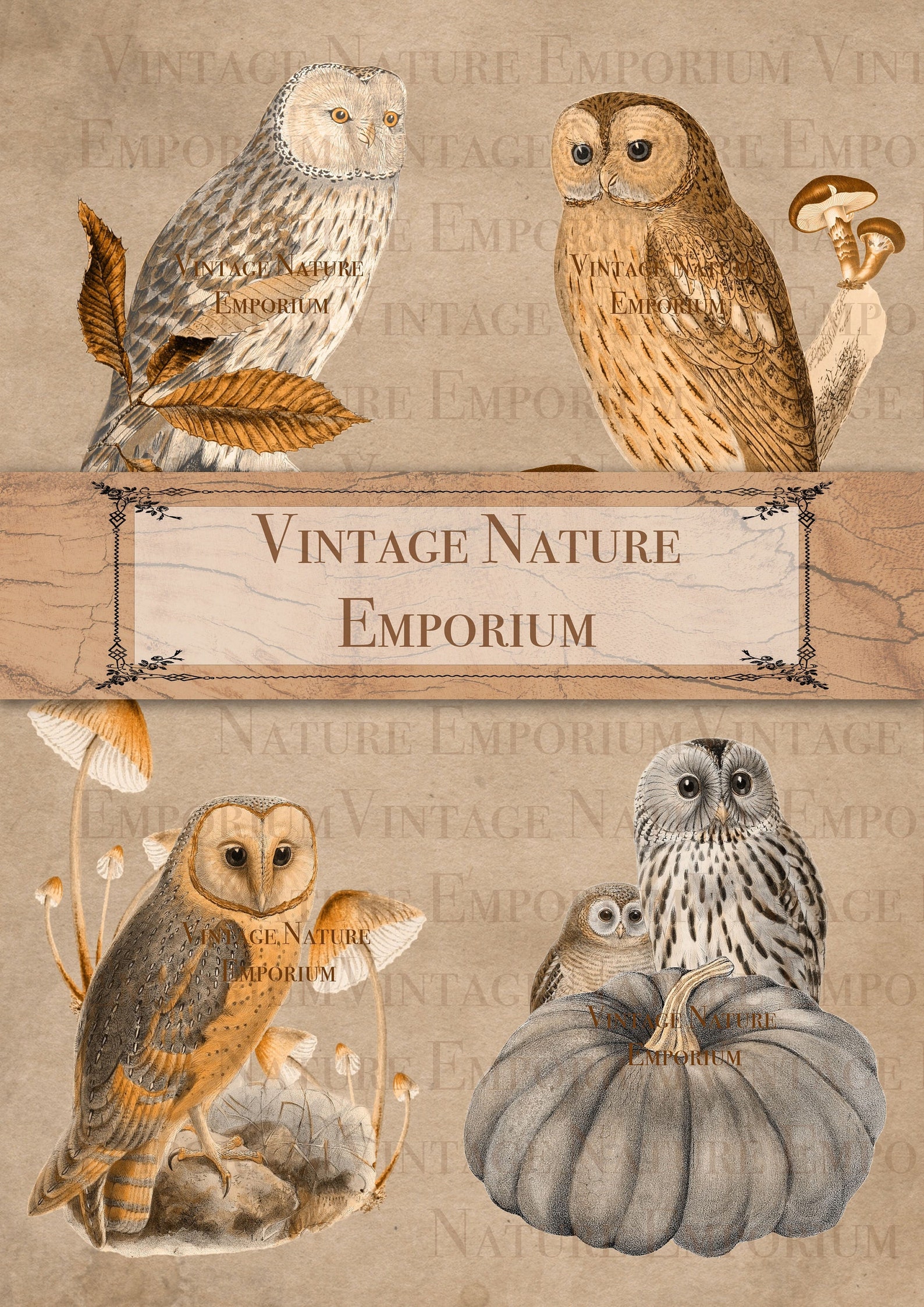 Printable Clipart Junk Journal Vintage Ephemera Scrapbook Animals Owls ...