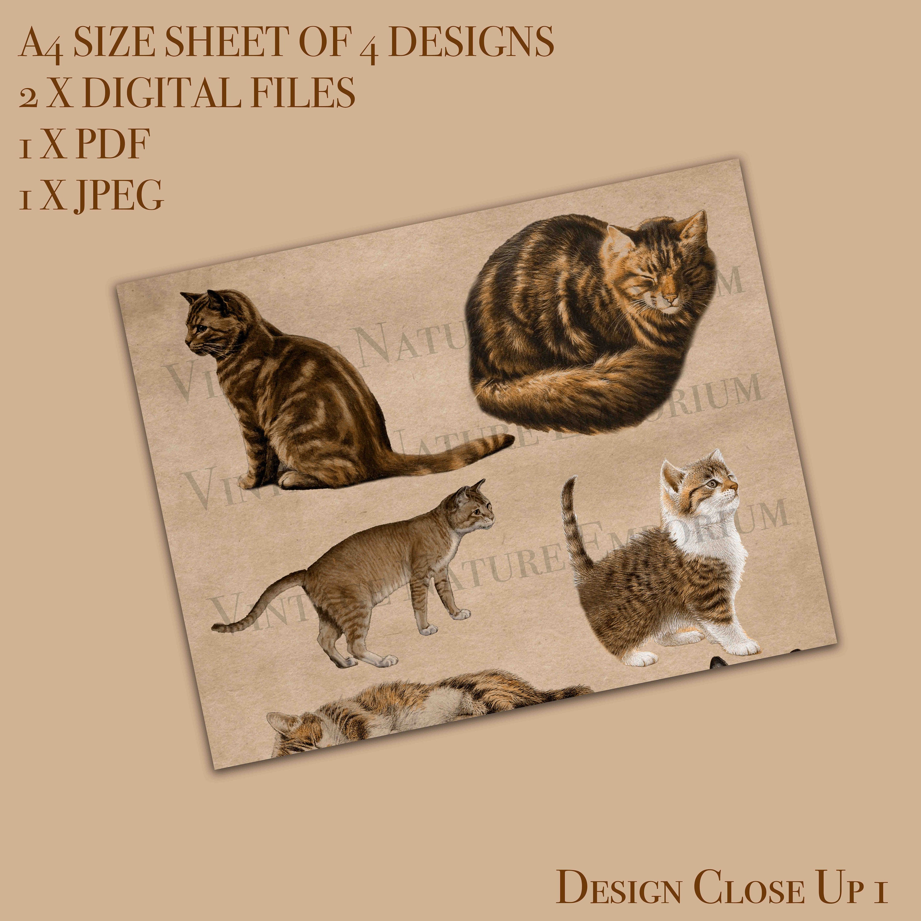 Printable Cats Clipart Junk Journal Vintage Ephemera Scrapbook Kittens ...