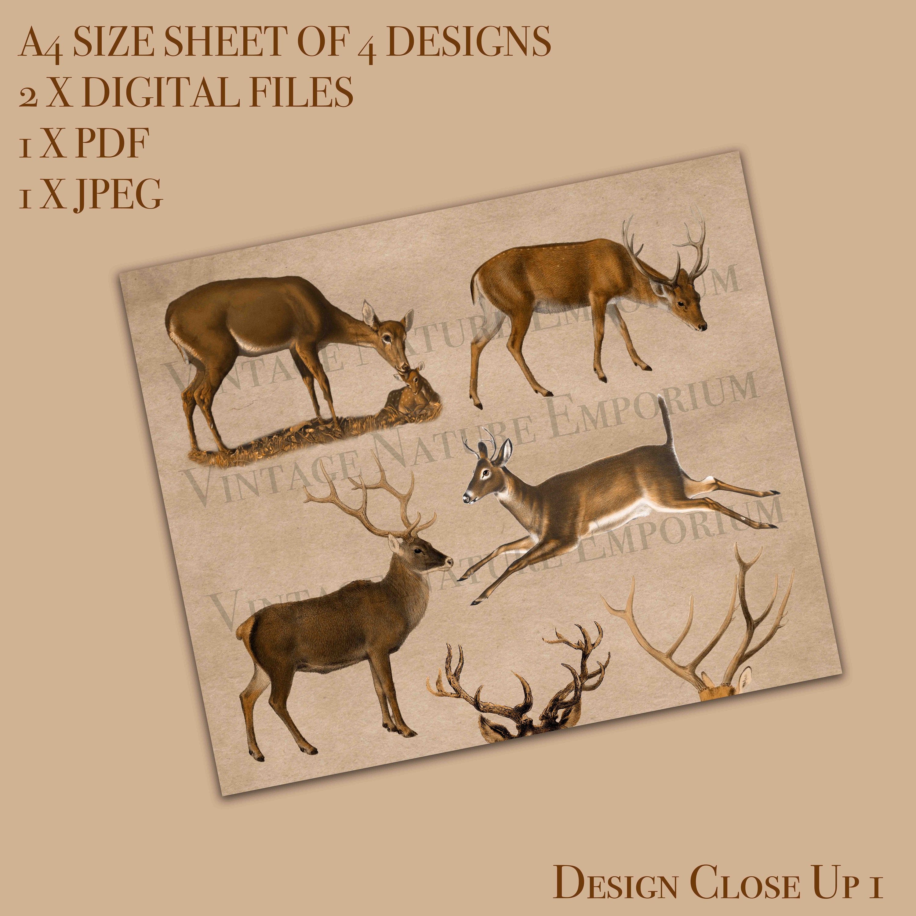 Christmas Printable Digital Reindeer Deer Clipart Junk Journal Vintage ...