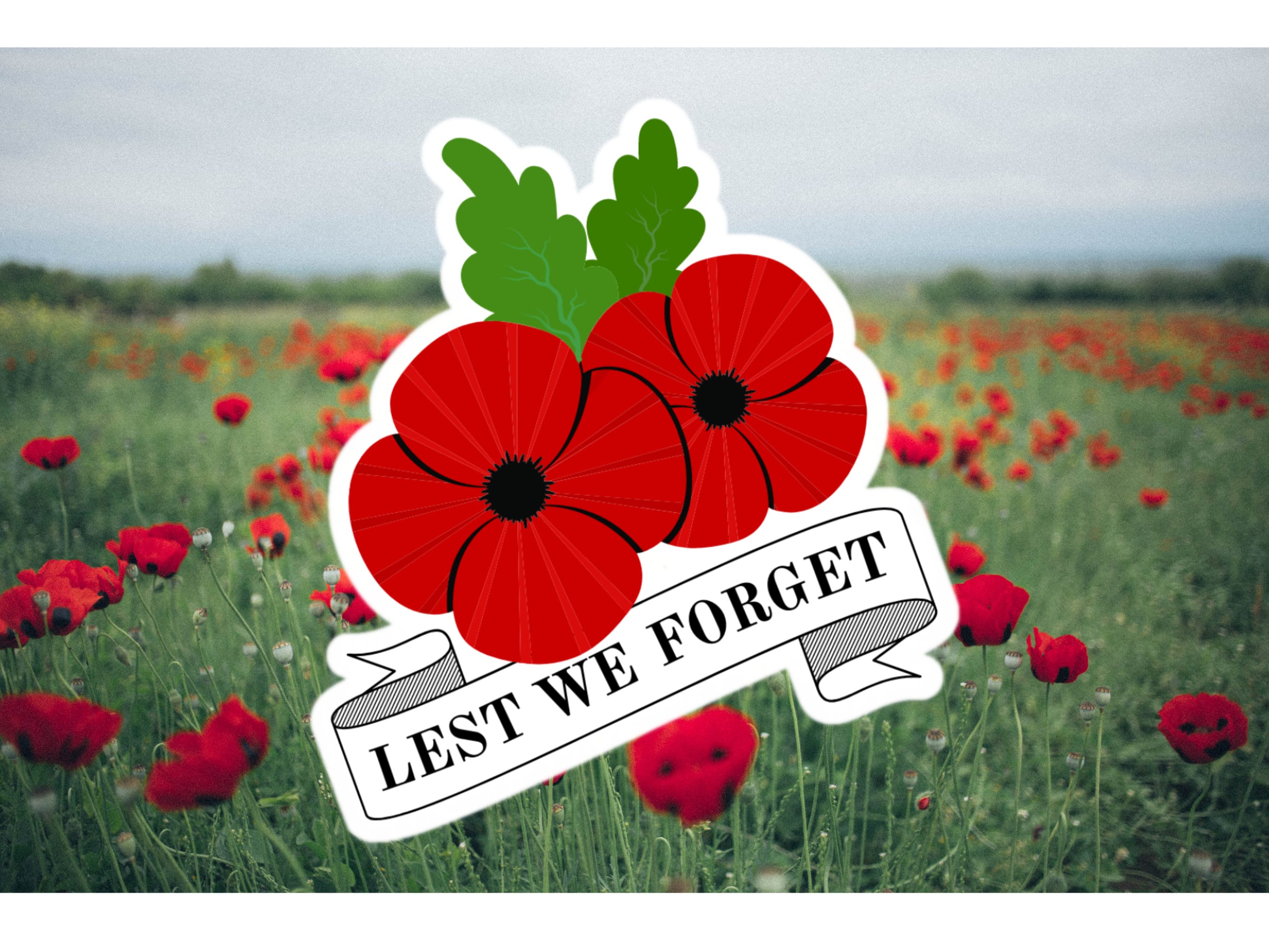 Remembrance Day Stickers, Lest We Forget Stickers, Poppy Stickers ...