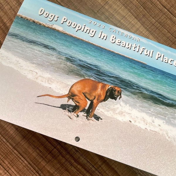 2024 Dog Poop Calendar - Etsy