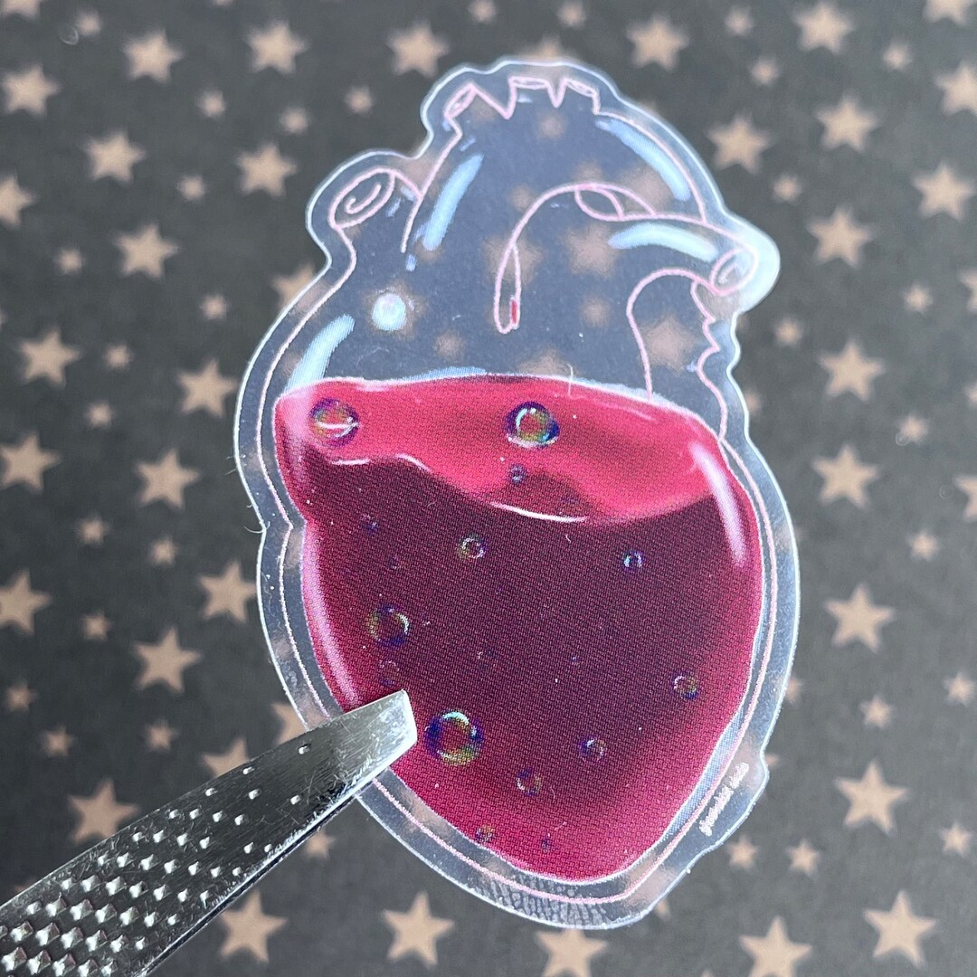 Anatomical Heart Transparent Vinyl Sticker - Macabre Science Decal - Etsy
