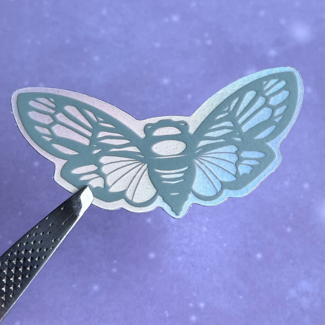 Holographic Cicada Sticker: Iridescent Insect Decal - Etsy