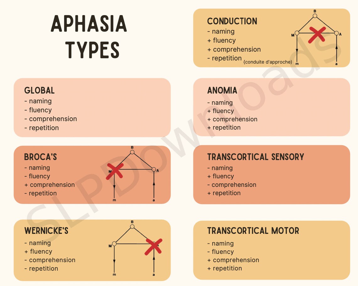 Aphasia Handout - Etsy