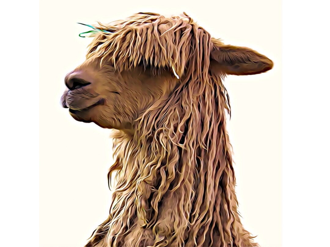 Alpaca Poster Digital Prints Animals Art Llama Decor - Etsy