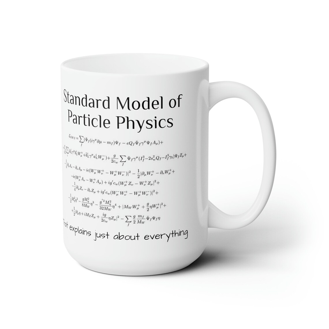 Standard Model of Particle Physics Geek Mug, Physics Geek Mug, Gift for ...