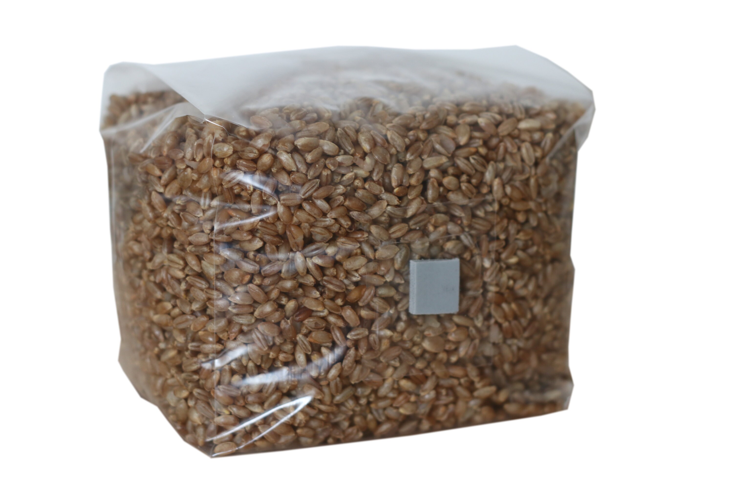 Sterilized Grain Spawn Bag for Growing Mushrooms at Home With Injection ...
