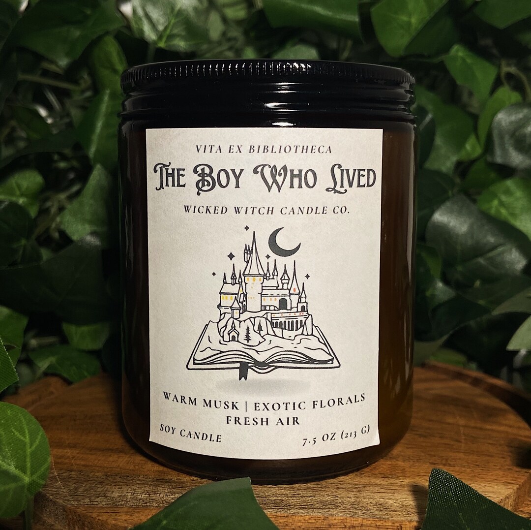 The Boy Who Lived | Book Candle | Handmade Candle | 7.5 Oz - Etsy