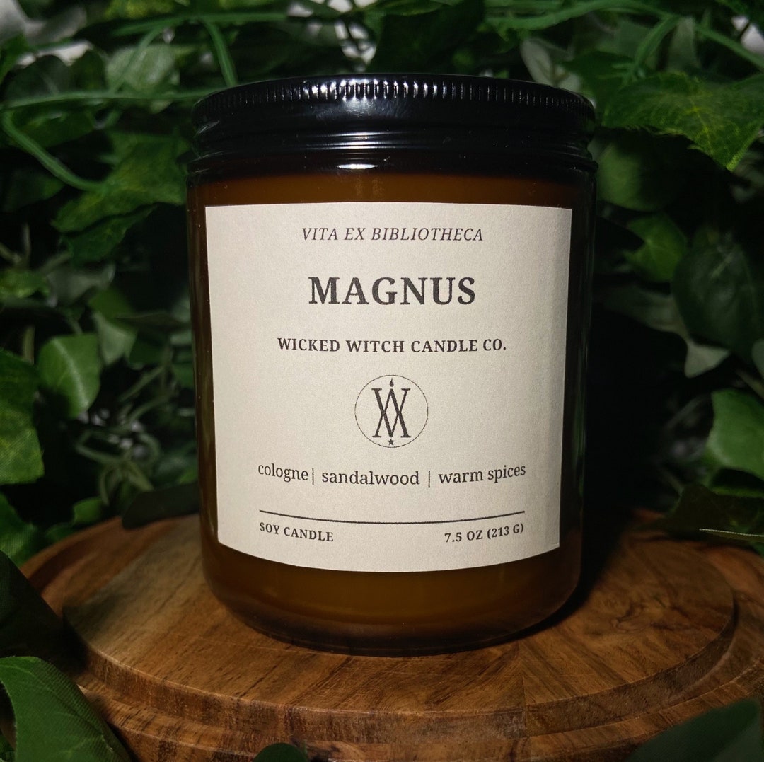 Magnus Book Candle Shadowhunters the Mortal Instruments Pet-friendly ...