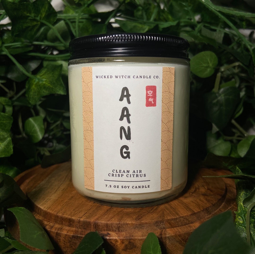 Aang | Avatar the Last Airbender Candle | Avatar the Last Airbender ...