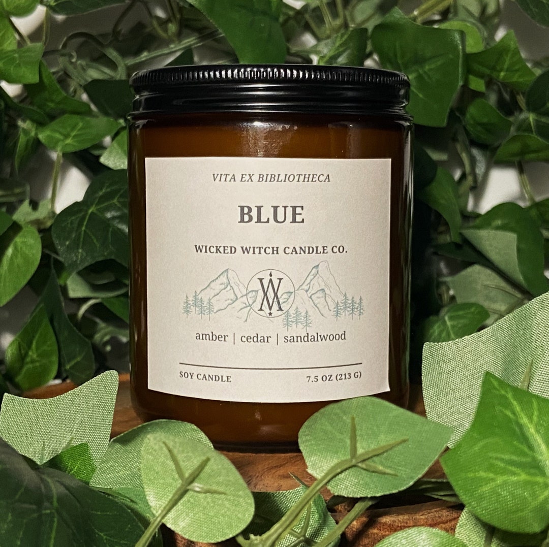 Blue | Book Candle | Raven Boys Candle | the Raven Cycle | Handmade ...