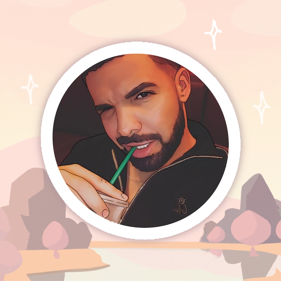 Drake Meme Sticker - Etsy