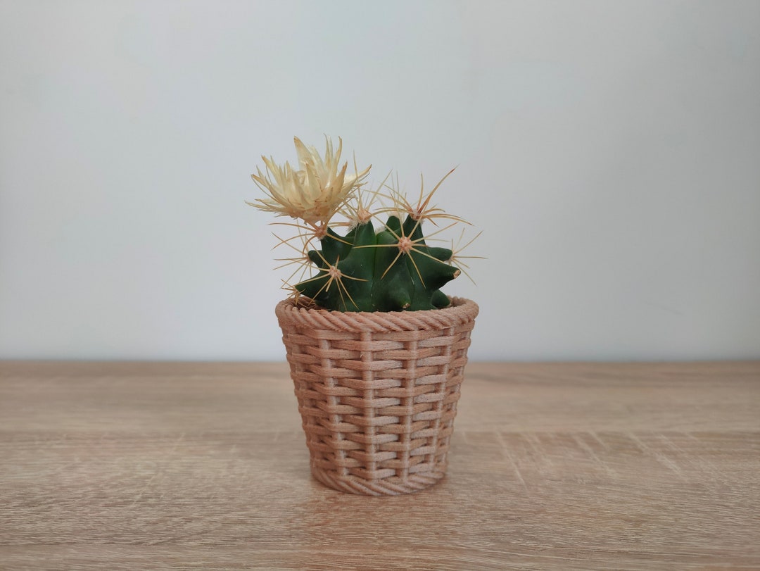 Indoor Wood Plant Pot 3D Printed Planter Flowerpot Wicker Pot Woven Pot ...