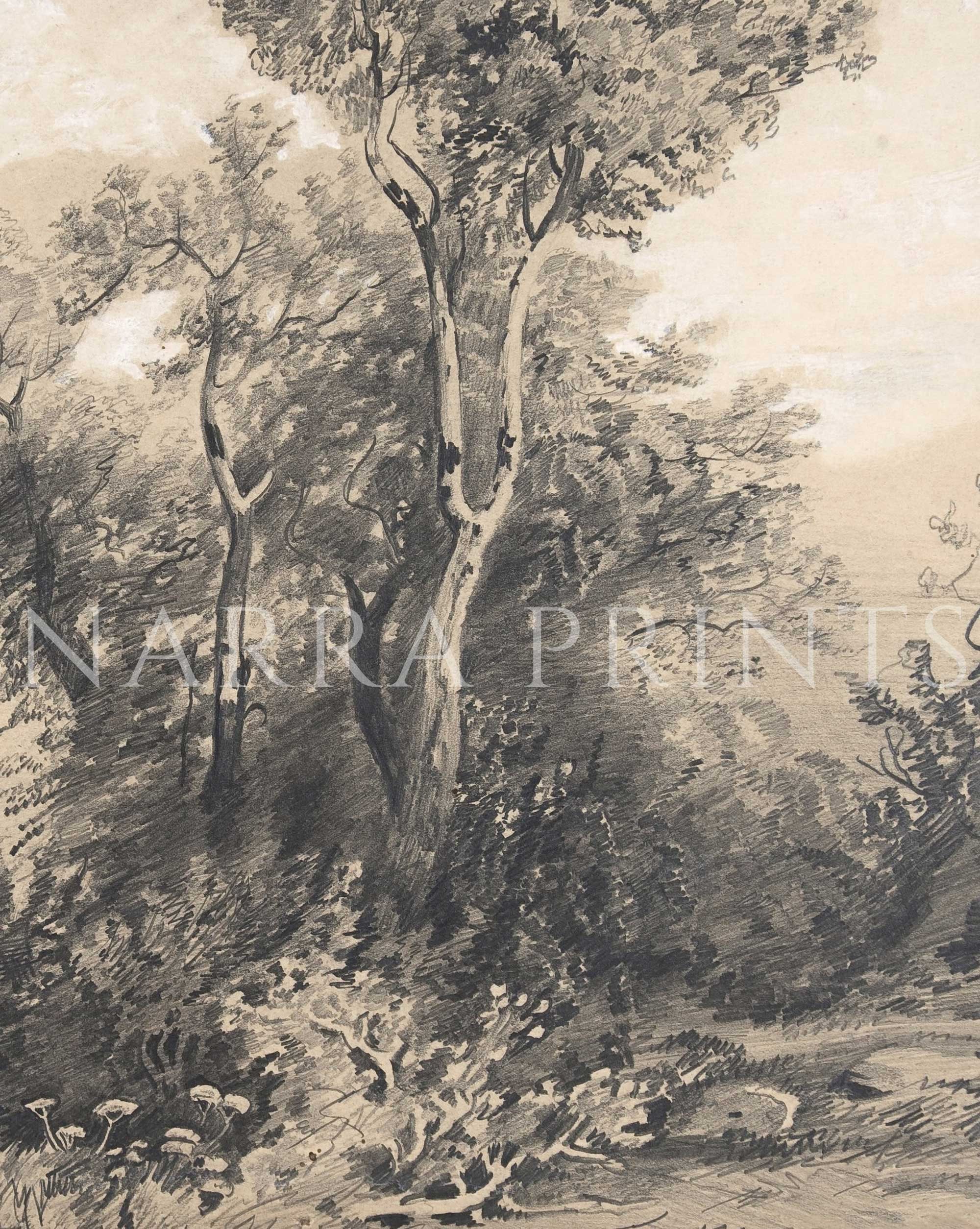 Antique Moody Graphite Landscape Painting, Dark Brown Artwork, Forest ...