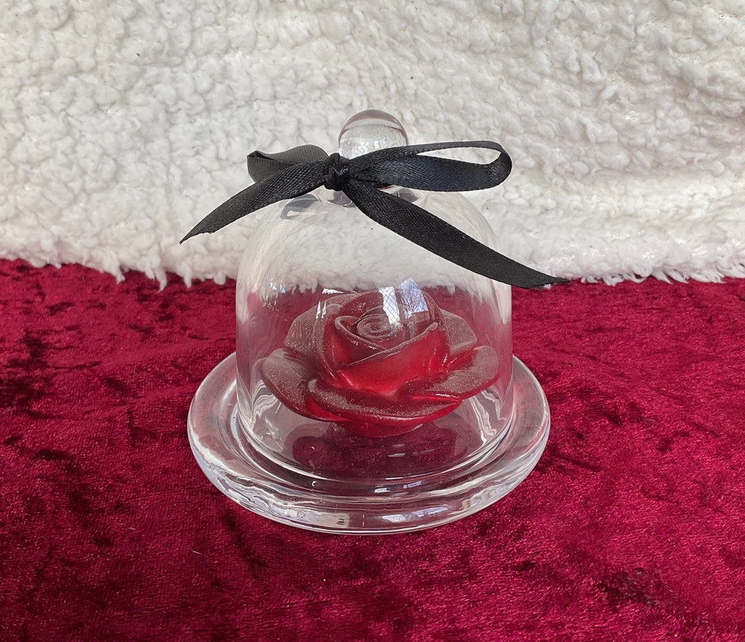 Small Glass Cloche With Red Plaster Rose - Etsy