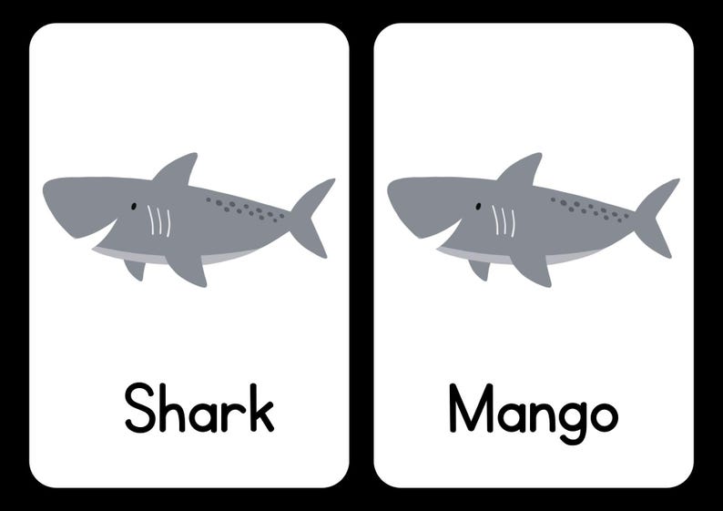 Ocean Sea Animal Flashcards in Māori & English Bilingual Learning Cards ...