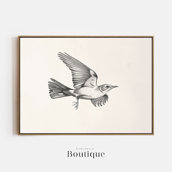 Mockingbird - Etsy