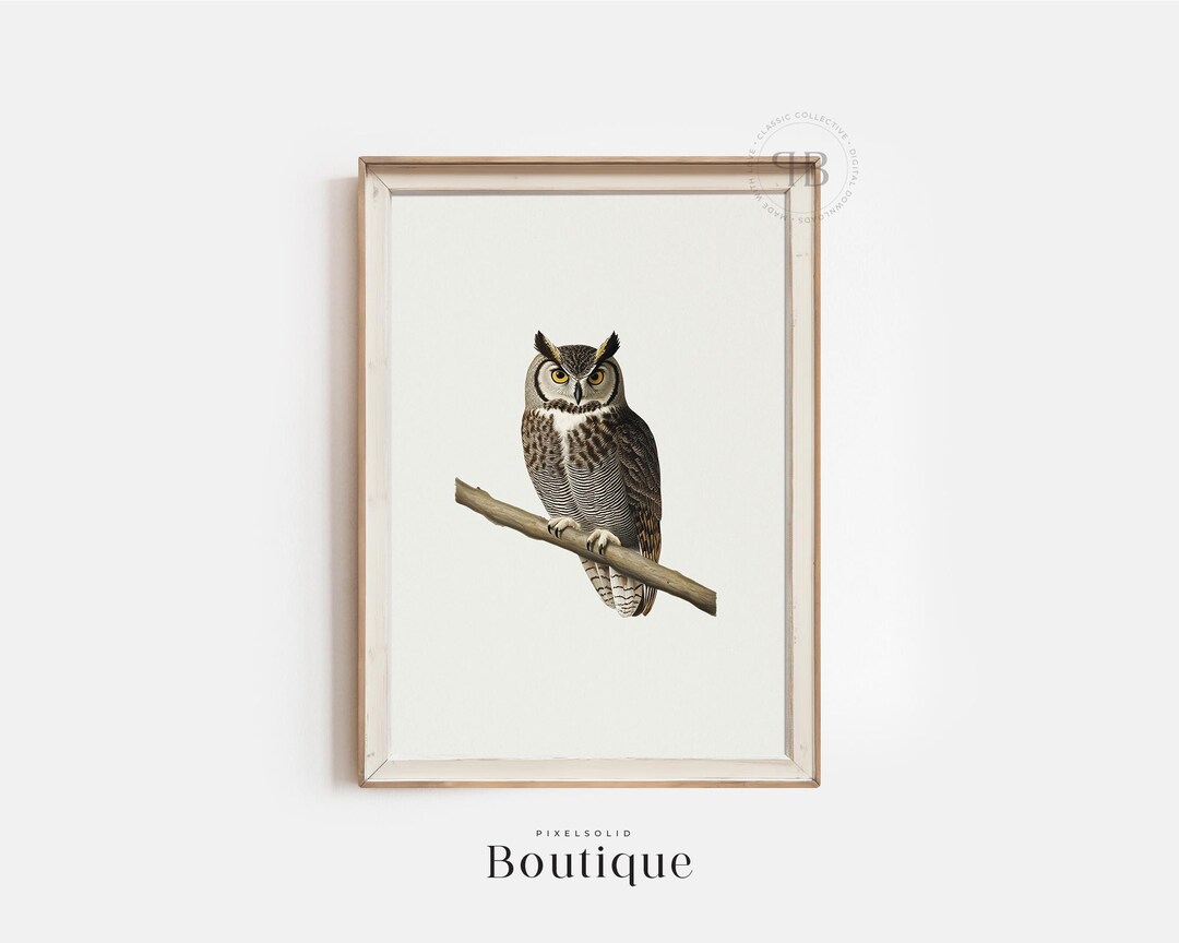 Great Horned Owl Illustration Print, Rustic Nature Decor Wall Art ...