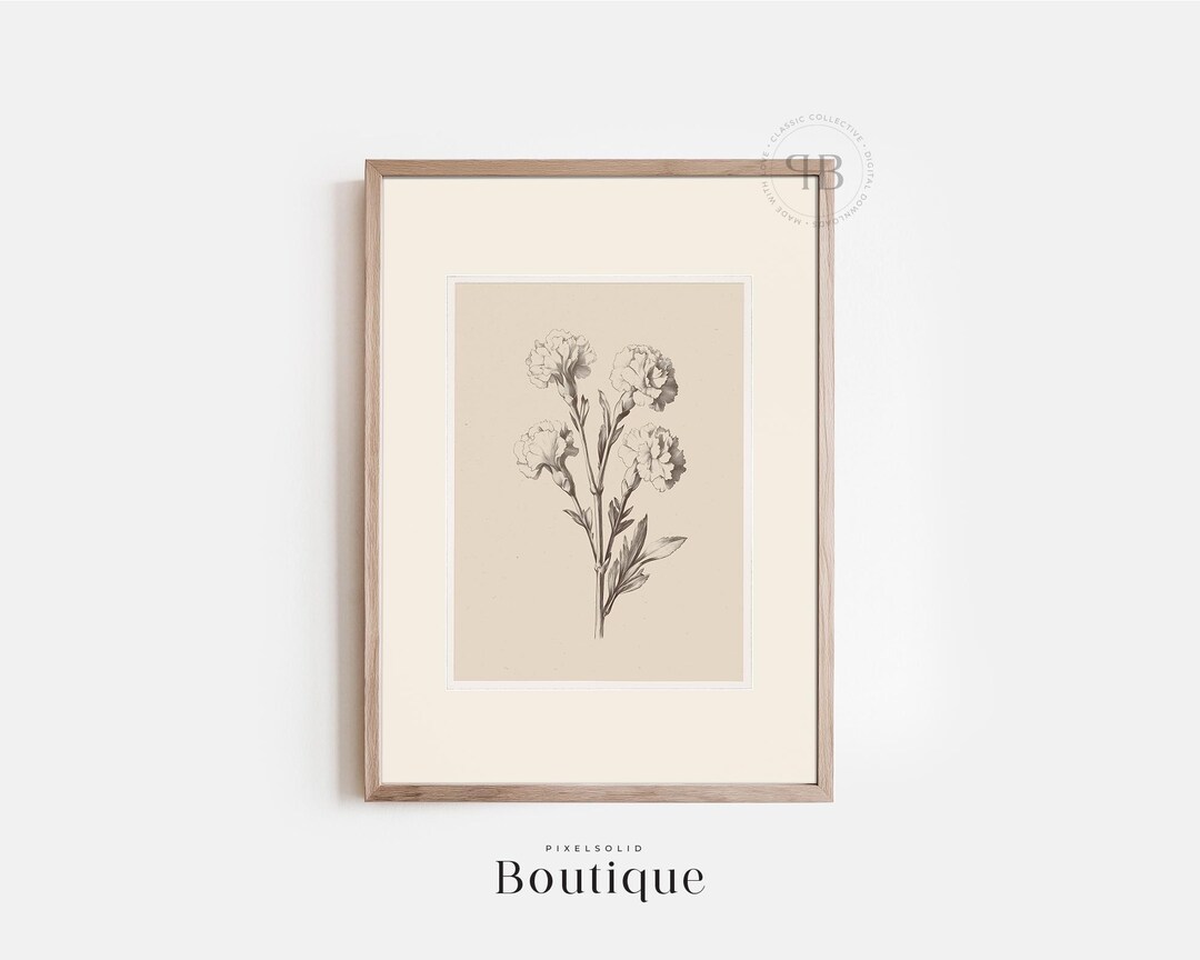 Carnation Botanical Print Digital Download – Vintage-style Flower ...
