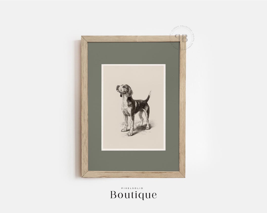 Beagle Dog Art Print, Antique Hunting Dog, Beagle Pet Portrait, Dog ...