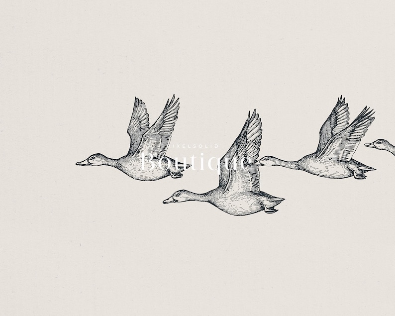 Goose Print, Minimalist Birds Illustration, Rustic Wildlife Art ...