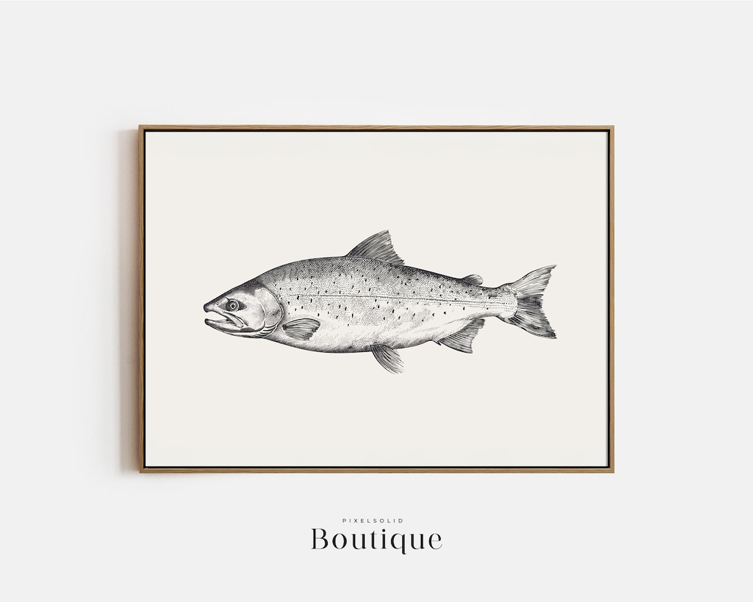 Salmon Sketch, Neutral Fish Illustration Print, Farmhouse Fishing Wall ...