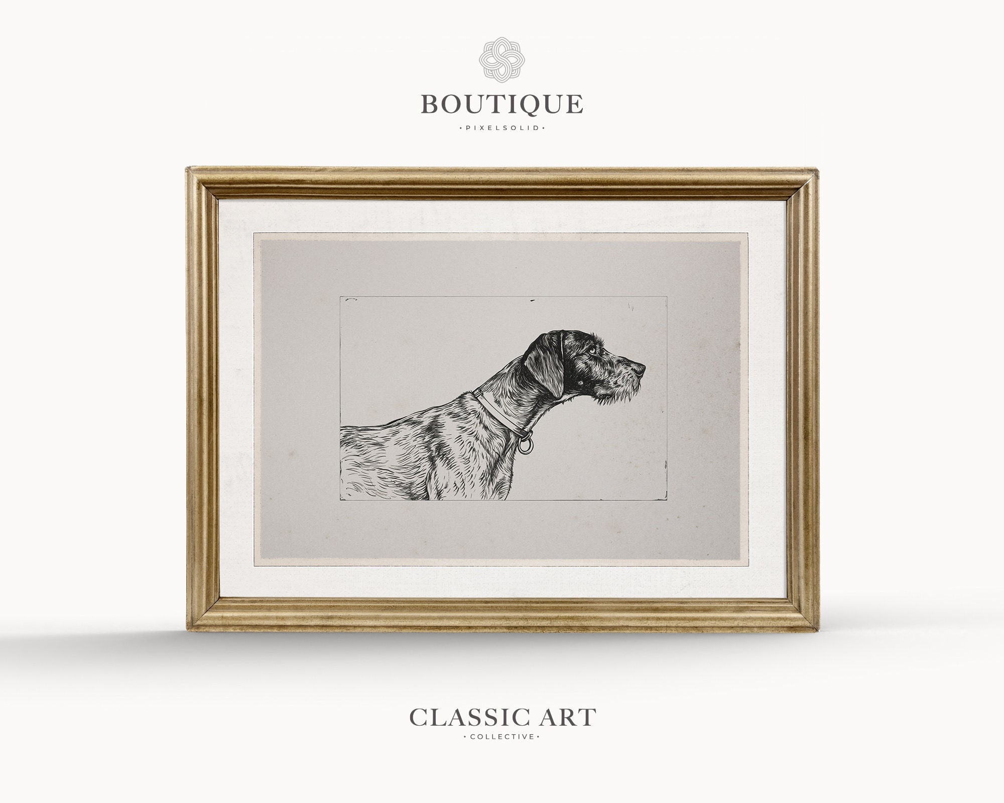 German Wirehaired Pointer Etching: Vintage Hunting Dog Print (digital ...