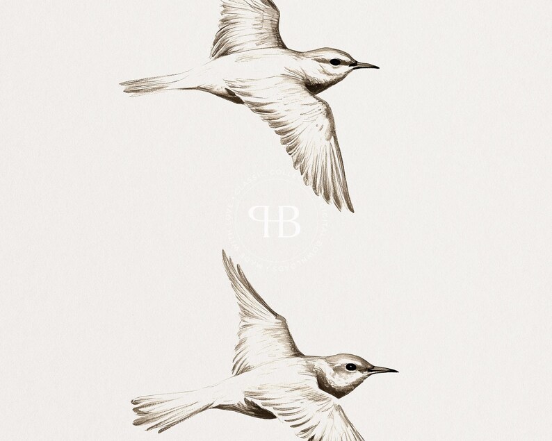 Mockingbird Wall Art Digital Download, Vintage Style Bird Illustration ...