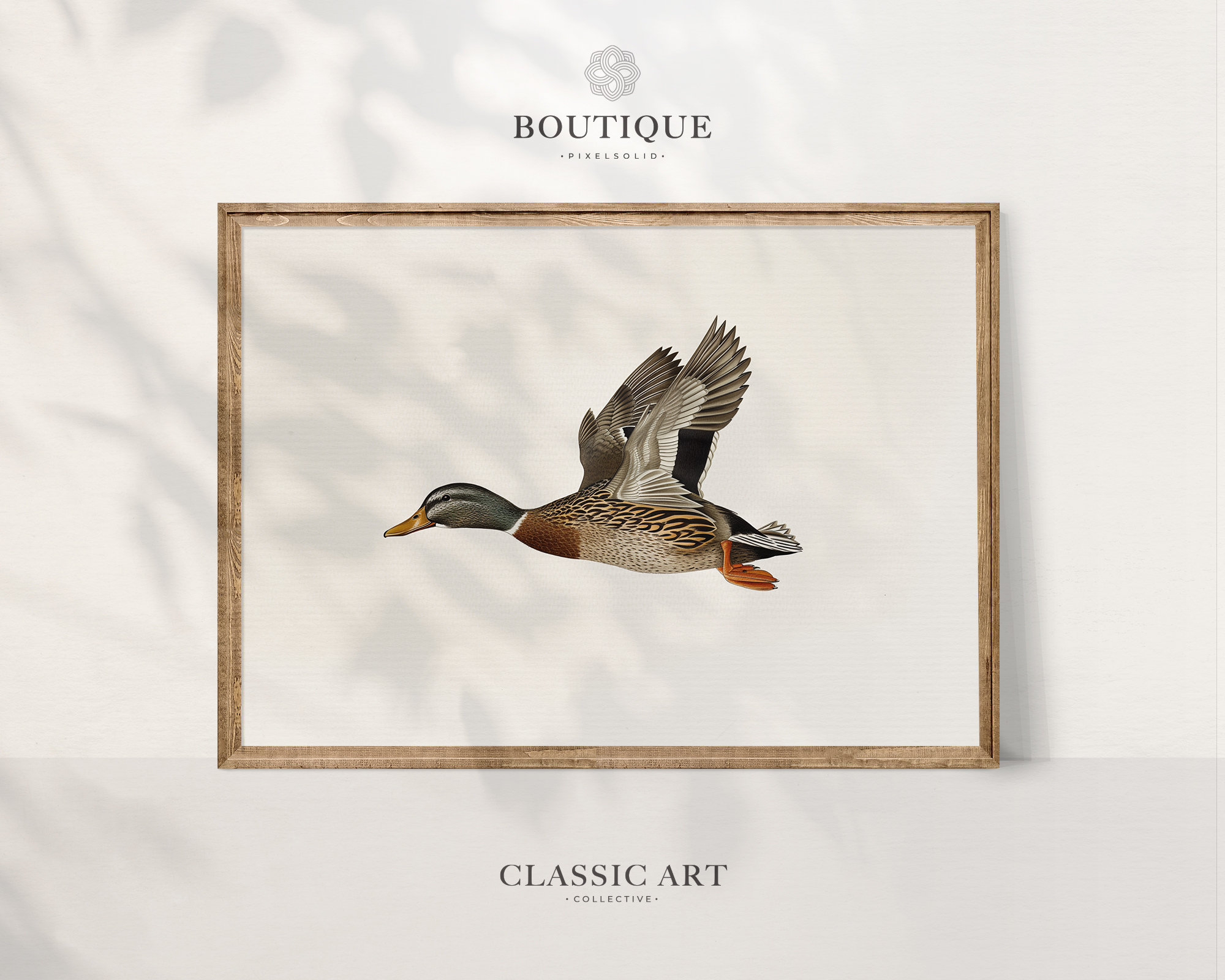 Mallard Duck Painting, Flying Neutral Bird Illustration Print ...
