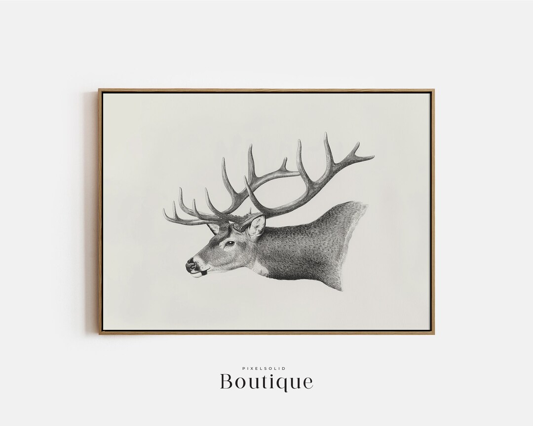 Deer Buck Sketch, Neutral Buck Illustration Print, Farmhouse Hunting ...