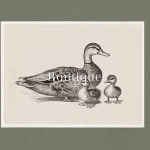 Mother Duck and Ducklings Art Print, Wildlife Illustration, Bird Family ...