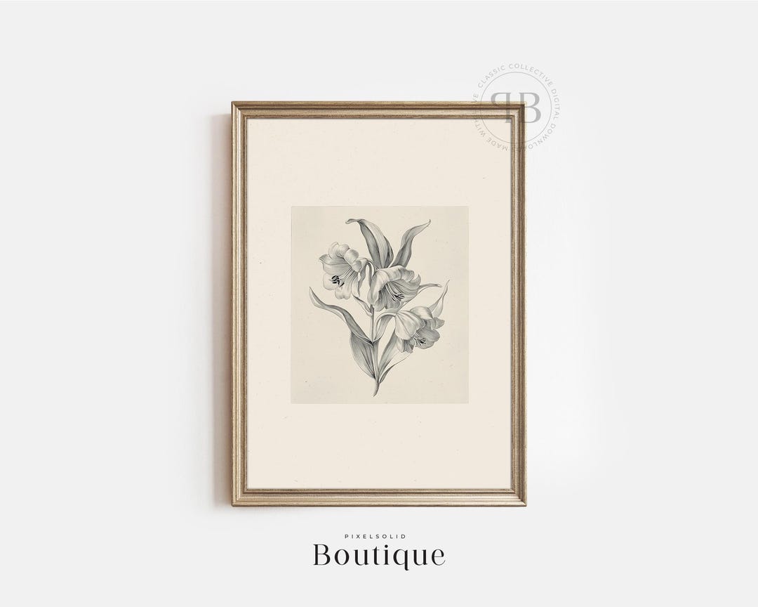 Digital Download Lily Flower Illustration Wall Art – Floral Botanical ...