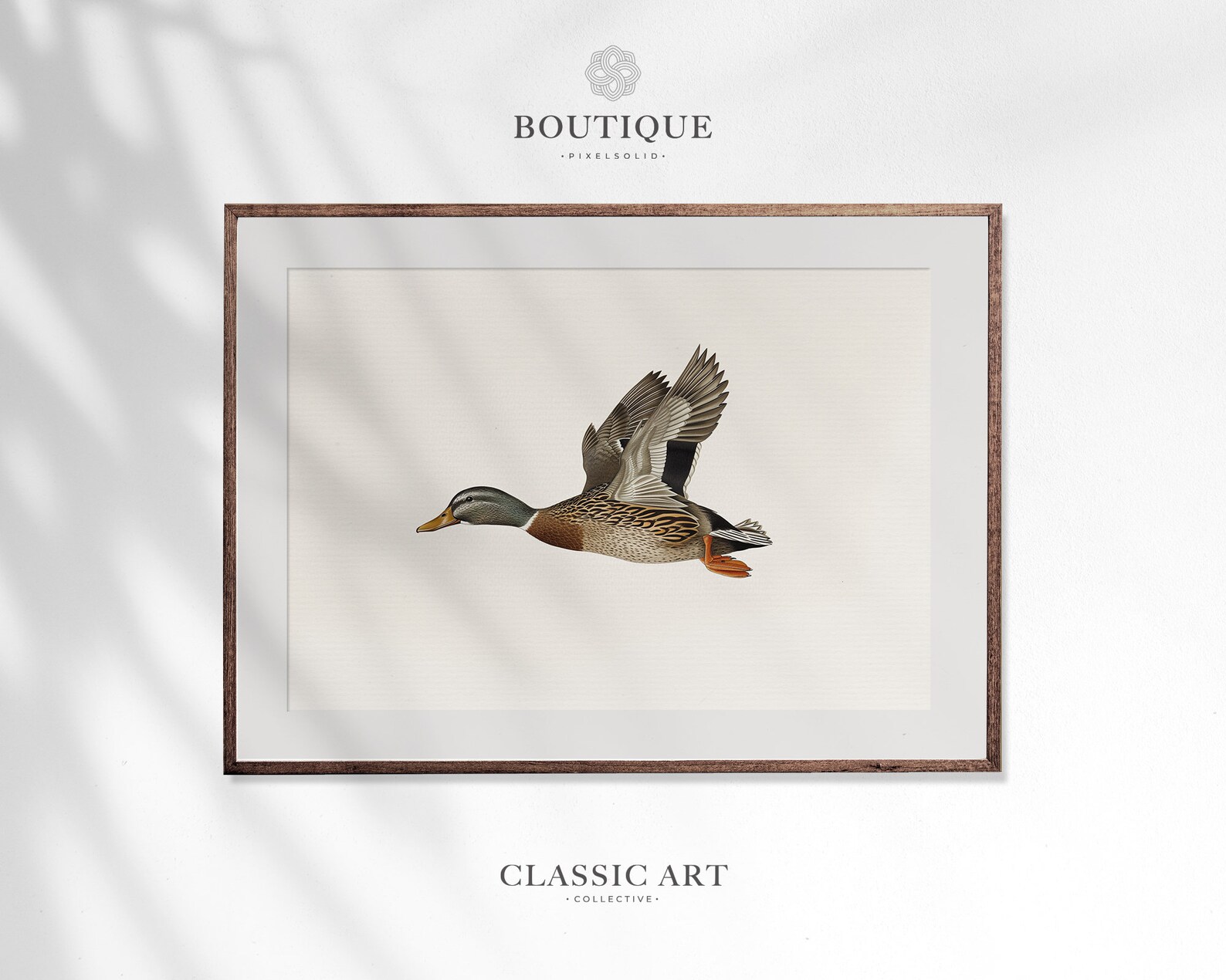 Mallard Duck Painting, Flying Neutral Bird Illustration Print ...