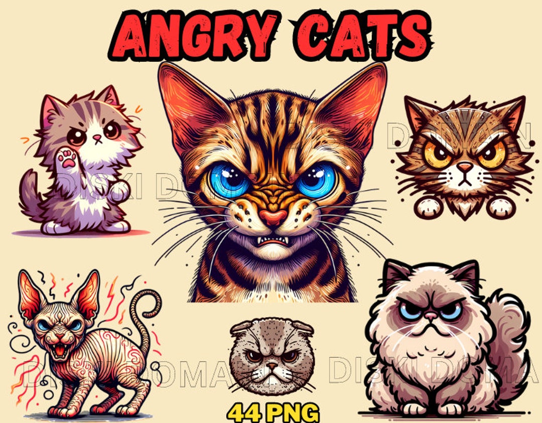 ANGRY CATS Clipart Angry Cat Collection 44 PNG Files Instant Download ...