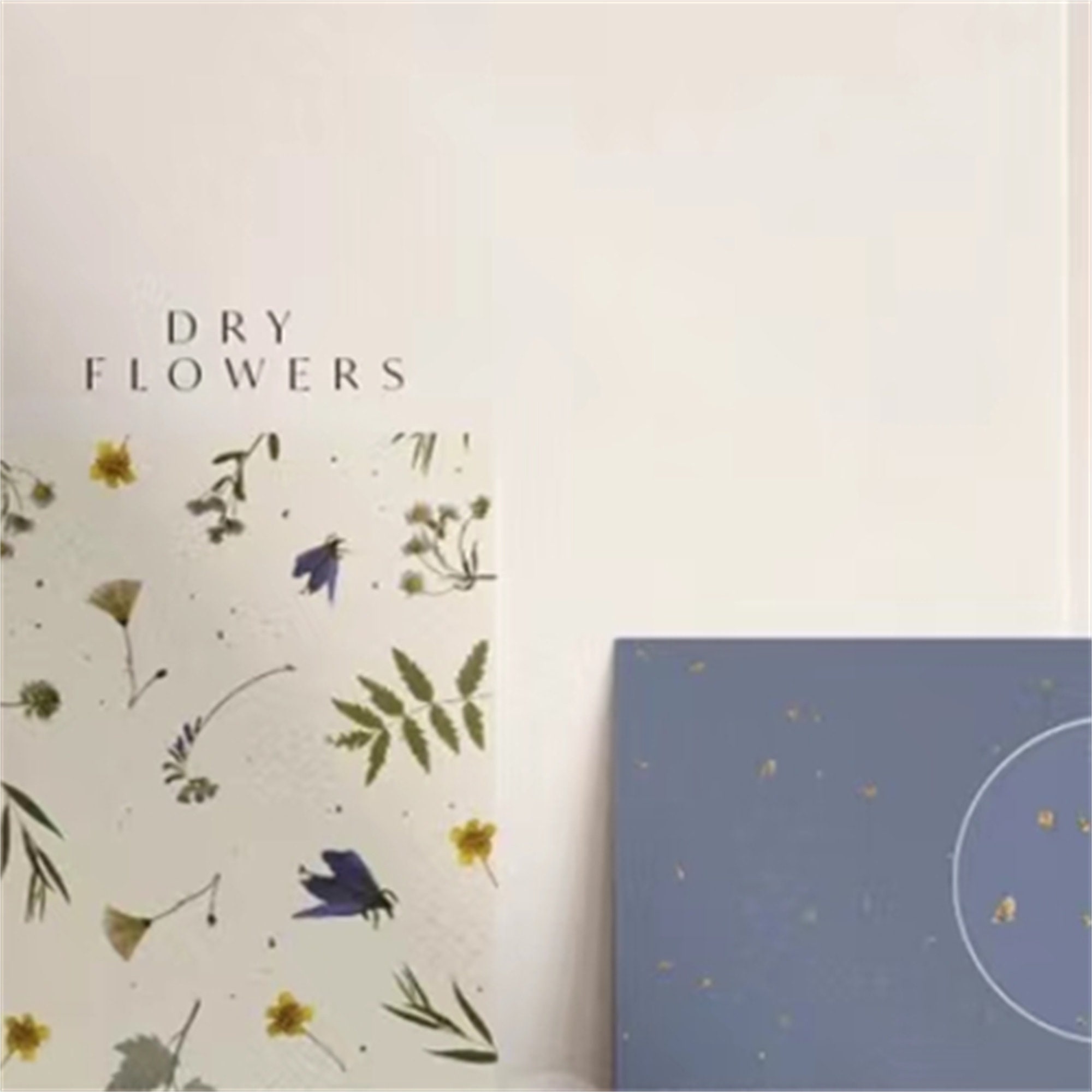 Gilding Textures for Photoshop, Photoshop Overlays, Hobo Photoshop Back ...