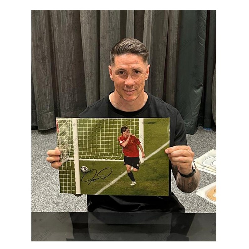 Fernando Torres Signed Spain Football Photo: Euro Final. Framed - Etsy