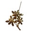 Vintage Vendome Brooch Flower Gold Tone Topaz Color Rhinestones Flower ...