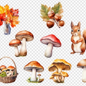Autumn Leaves and Mushrooms Clipart | Watercolor Fall Illustrations ...