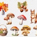 Autumn Leaves and Mushrooms Clipart | Watercolor Fall Illustrations ...