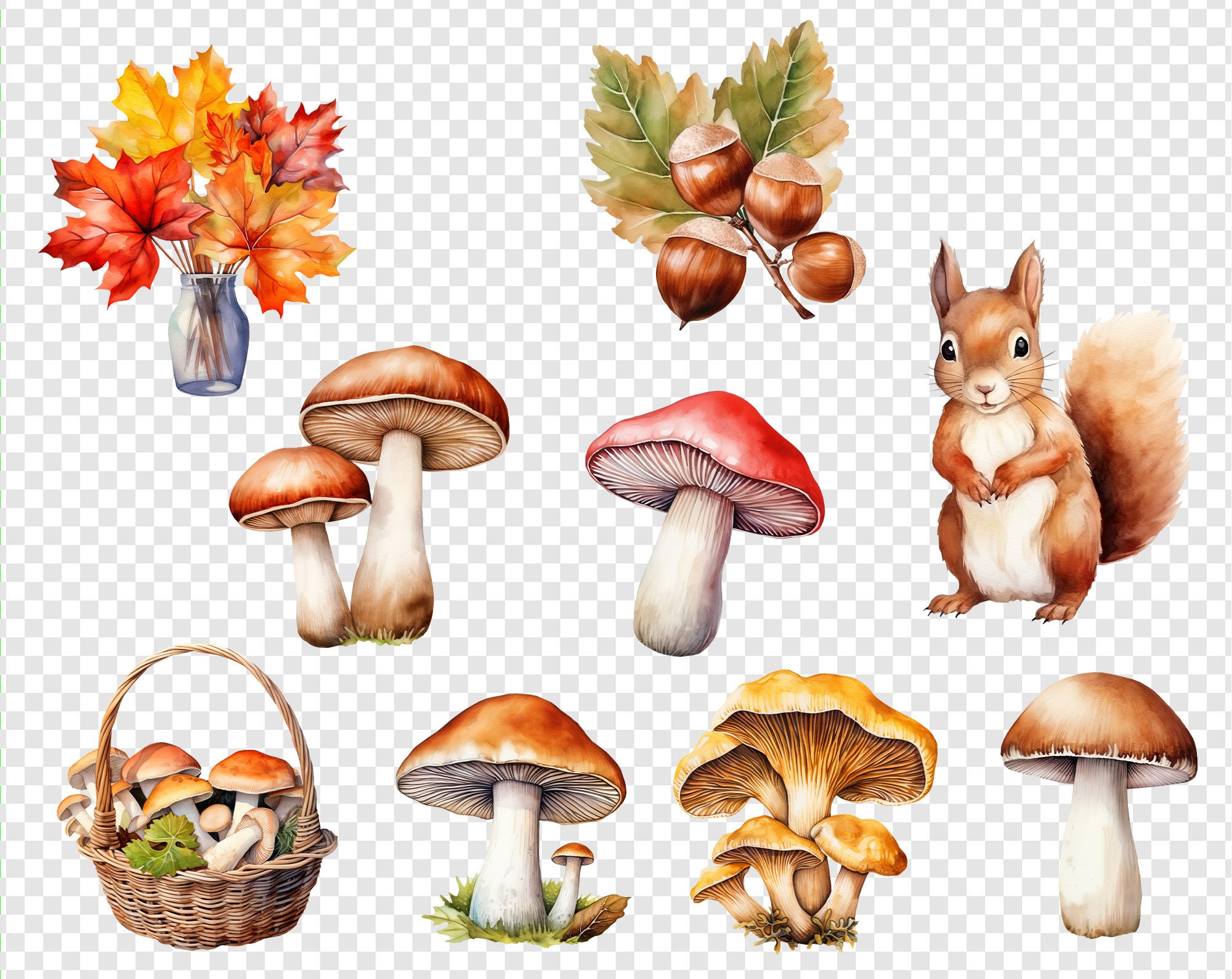 Autumn Leaves and Mushrooms Clipart | Watercolor Fall Illustrations ...