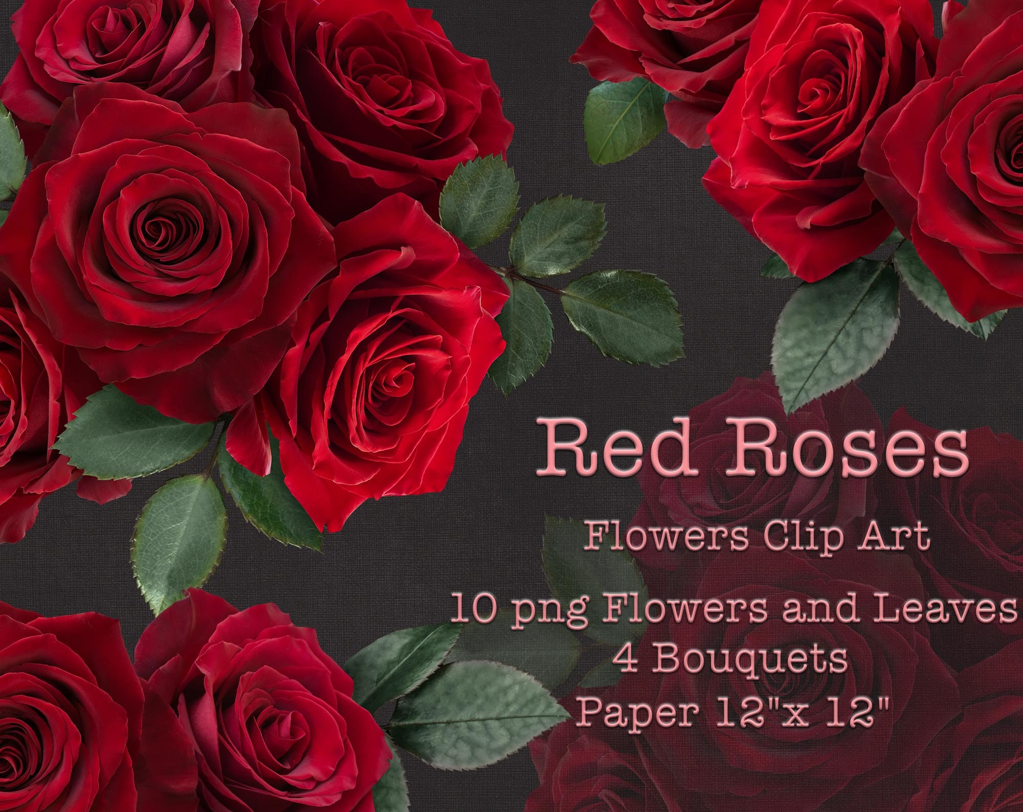 Red Rose Clip Art