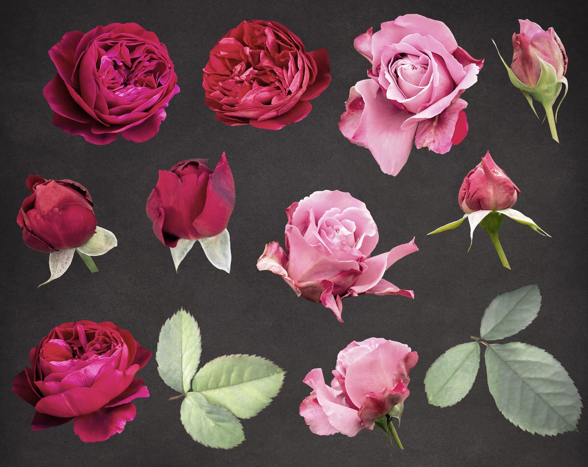 Pink and Red Roses Clip Art Flowers Bouquets Clipart Floral ...