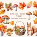 Autumn Leaves and Mushrooms Clipart | Watercolor Fall Illustrations ...