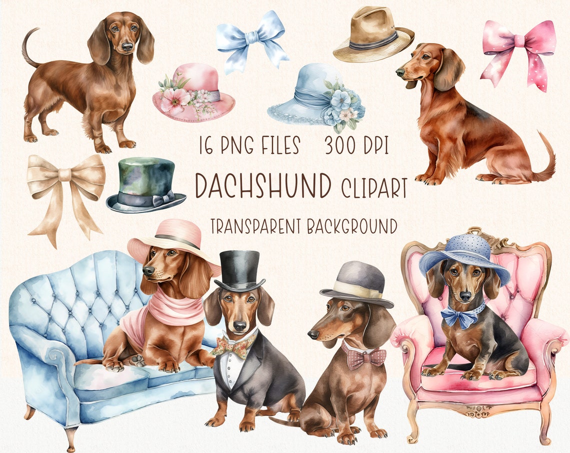 Watercolor Dachshund Clipart | Dogs Illustration PNG - Etsy
