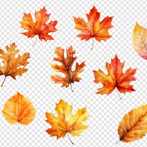 Autumn Leaves and Mushrooms Clipart | Watercolor Fall Illustrations ...