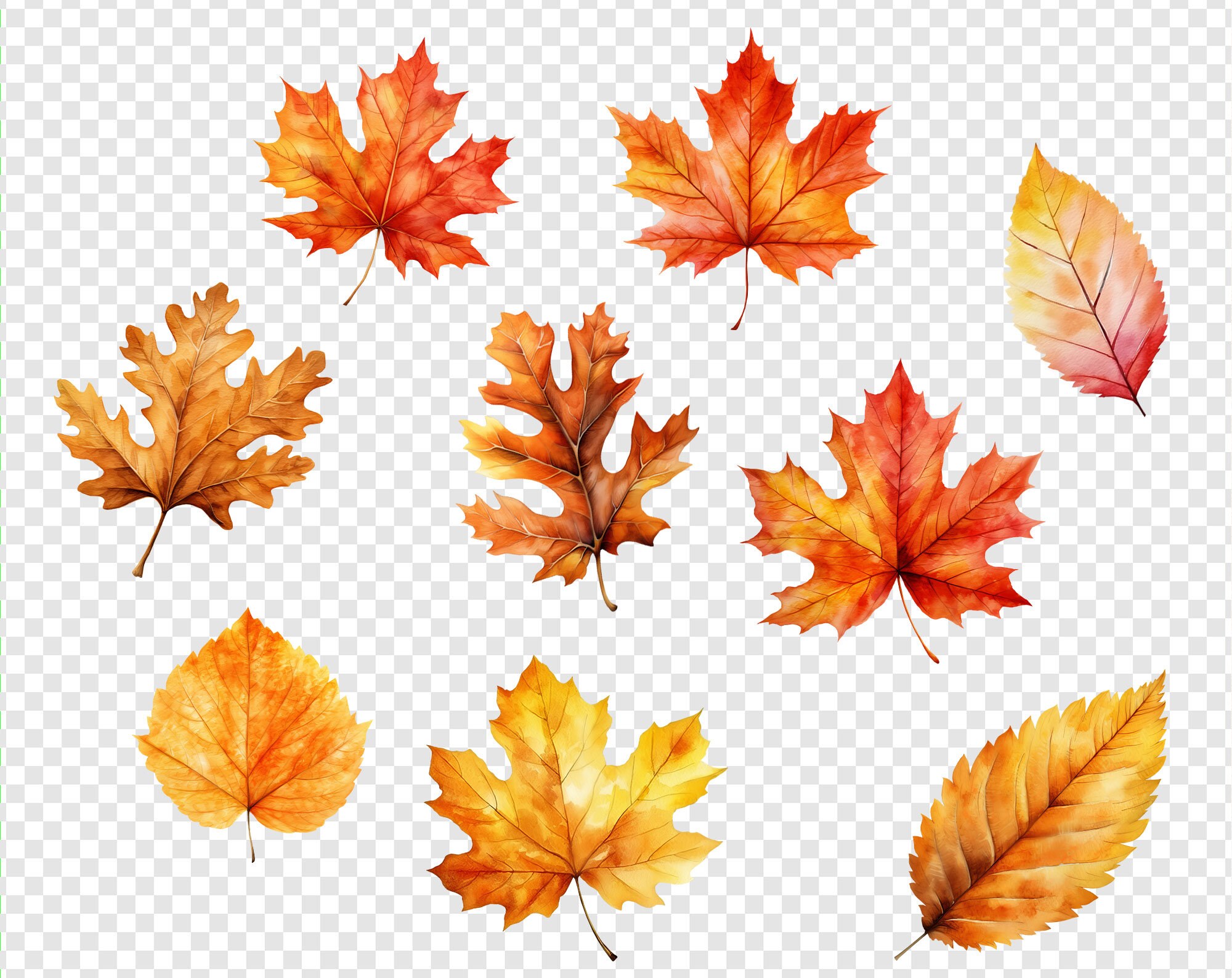 Autumn Leaves and Mushrooms Clipart | Watercolor Fall Illustrations ...