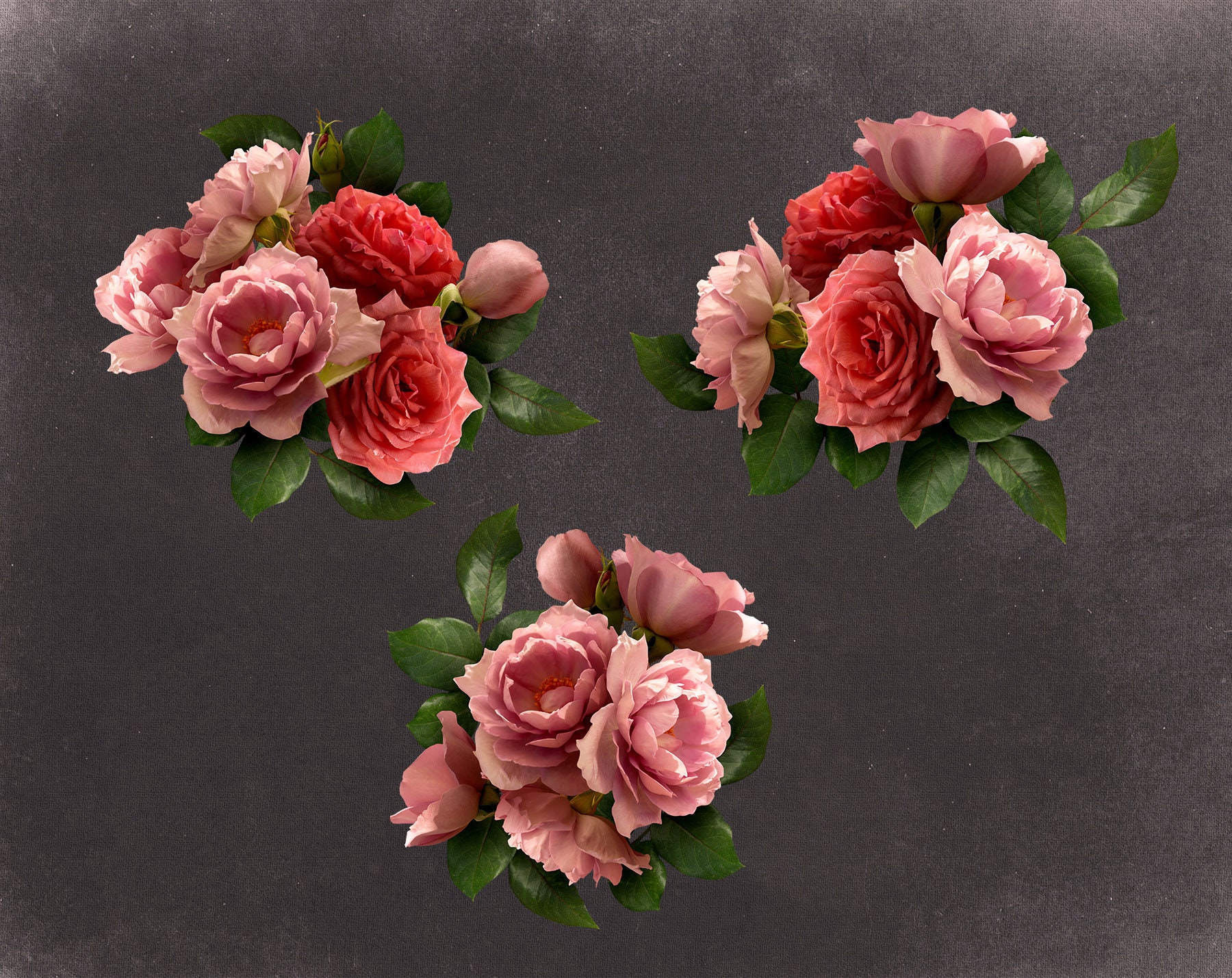 Pink Roses Clipart | Bouquets of Roses PNG | Real Flowers Clip Art ...