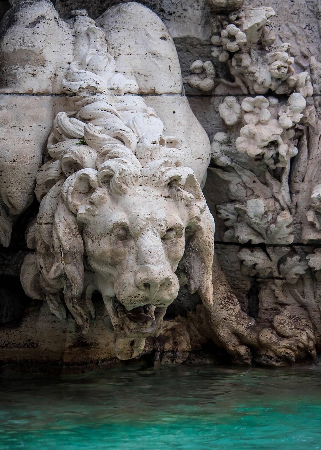 Bernini's Lion Instant Downloadable Art Photography - Etsy